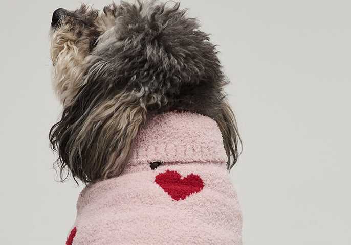 The Ultra Soft Rib Short And Tank Set | Barefoot Dreams®